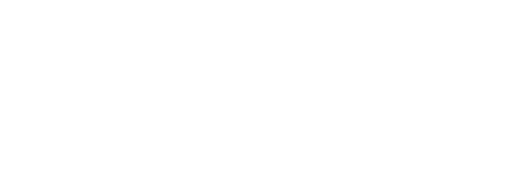 About The 519 - The 519