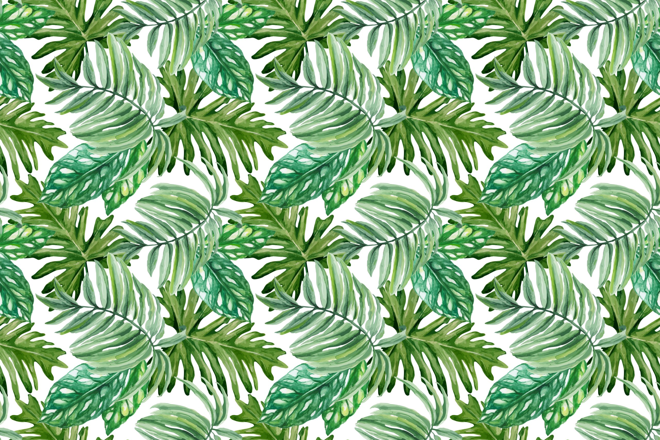 TreeHouse Party returns on June 25 with biggest and best show yet